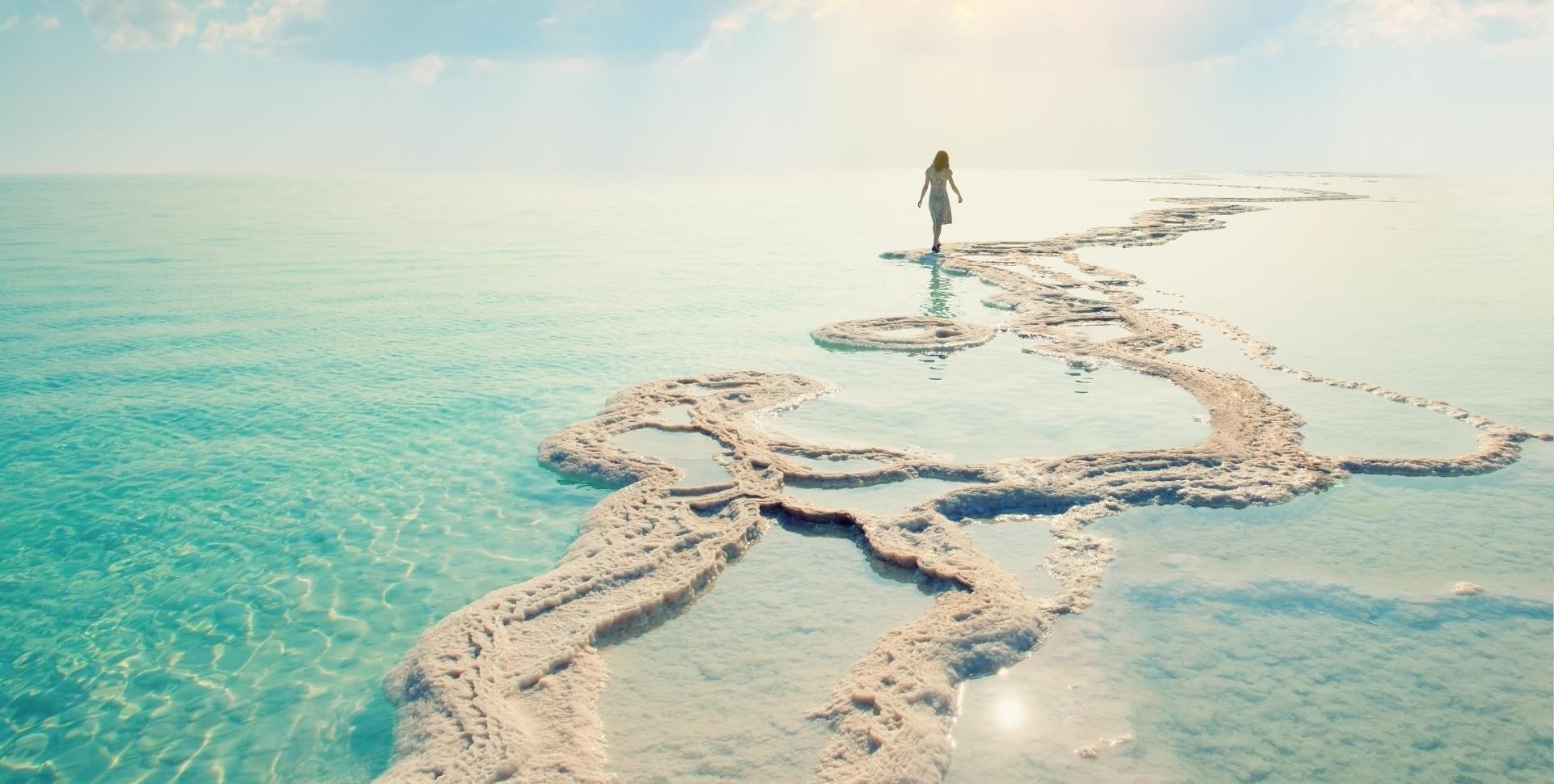 Fully Equipped Shared Kitchen - ארץ ים המלח - האתר הרשמי